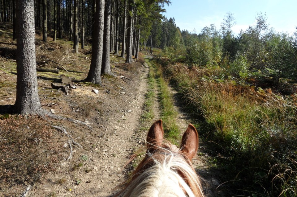 Activiteiten in de Ardennen - Villavibes single reizen